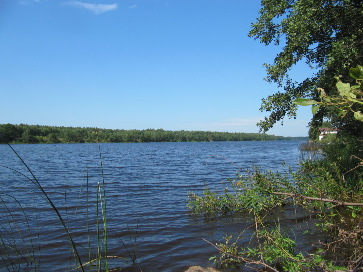RÍO MOLOGA, UN AFLUENTE DEL RÍO VOLGA UBICADO EN LA RUSIA EUROPEA